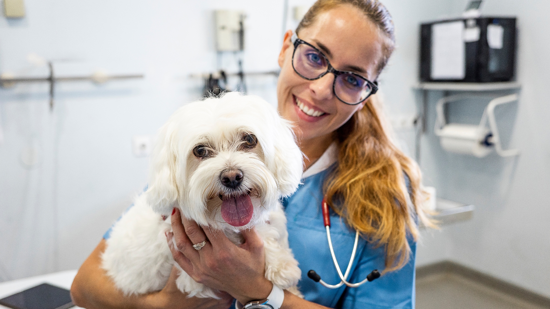 Tullahoma, TN Veterinary Appointment | Pet Medical Center